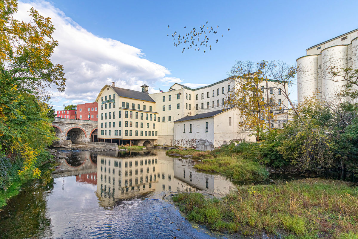 Specialty Grain Mill